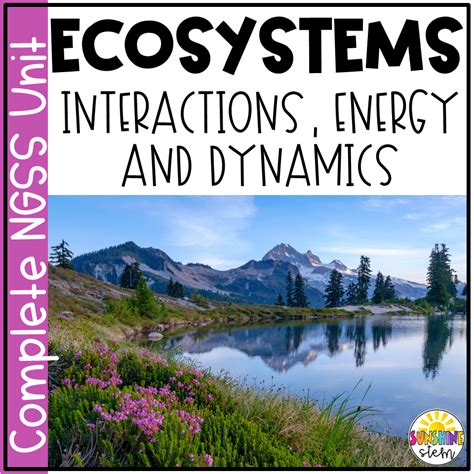 Ecosystems Complete Unit Made By Teachers