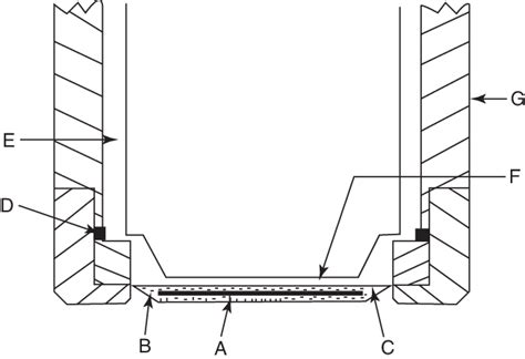 Schematic Diagram Of The Arrangement Of A Tissuebased Membrane
