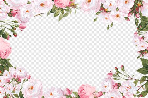 Fuente tipográfica de la caligrafía sans serif, borde de la flor ...