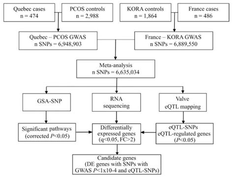 Calcium Signaling Pathway Genes Runx2 And Cacna1c Are Associated With Calcific Aortic Valve