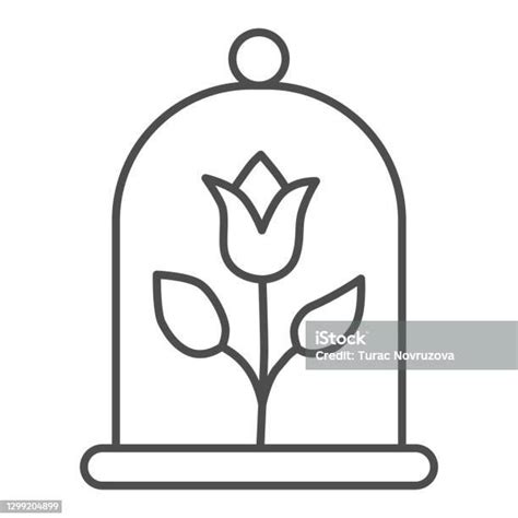 유리 돔 얇은 라인 아이콘 동화 개념 흰색 배경에 마법의 꽃 표지판 모바일 개념과 웹 디자인을위한 윤곽 스타일 모자 아이콘 아래 요정 로즈 아래 장미 벡터 그래픽 법적