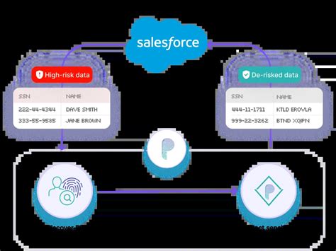 Free Salesforce Pii Scan Protecto