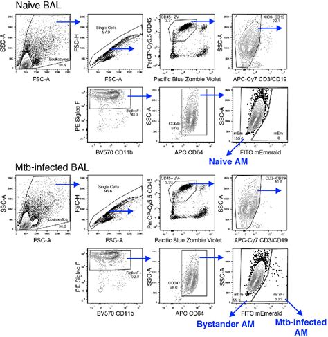 Figure 2 From Flow Cytometry Analysis And Fluorescence Activated Cell
