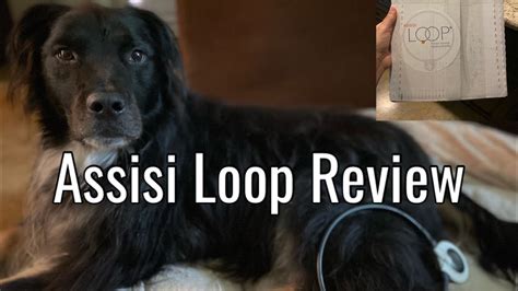 Assisi Loop Review After One Week Of Use Youtube