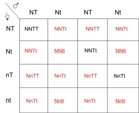 Genomics Lecture 3 Mendelian Patterns Of Inheritance Flashcards Quizlet