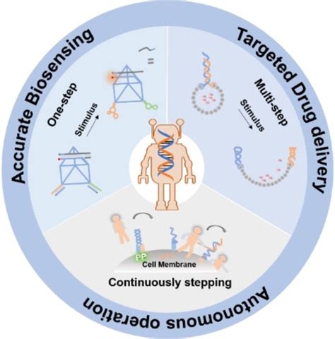 Advances In Designer DNA Nanorobots Enabling Programmable Functions