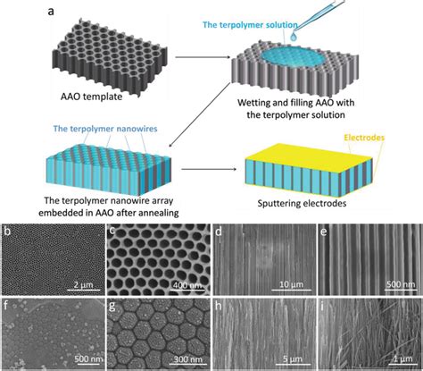 a schematic illustration of the preparation of the polymer nanowire