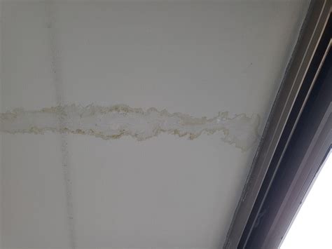 블라인드 부동산 형누나들 이거 베란다 결로야 누수야