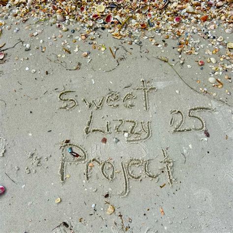 Sweet Lizzy Project