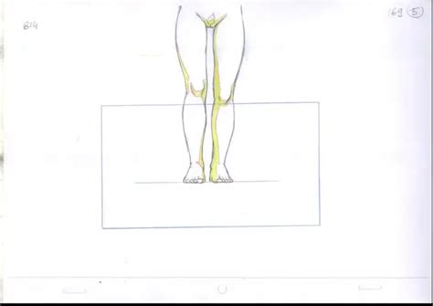 Discover More Like Rule34 Wakfu Ankama Original Storyboard Of The