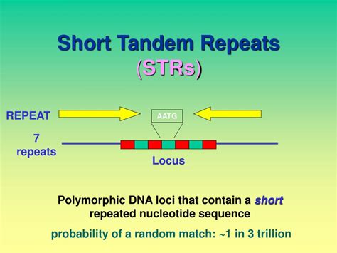 Ppt Quantification Of Post Transplantation Chimerism Algorithm For