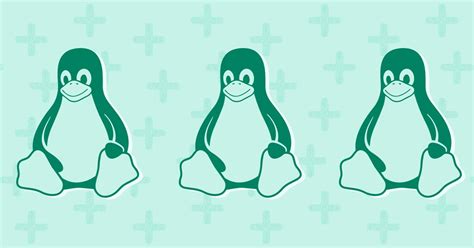 What To Know About CompTIA Linux Pocket Prep