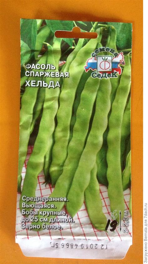 Фасоль Хельда. Описание сорта. Фото. Рецепт турши из фасоли и баклажанов