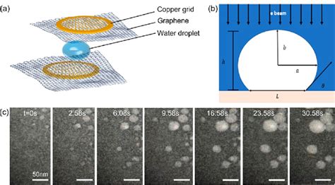 A Schematic Of Graphene Liquid Cell B Illustration Of Electron Download Scientific Diagram