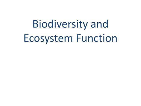 Ppt Biodiversity And Ecosystem Function Powerpoint Presentation Free Download Id 1036643