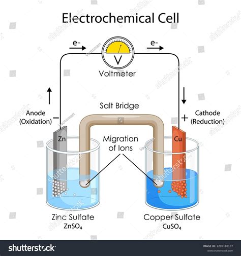 Galvanic Cell Labeled