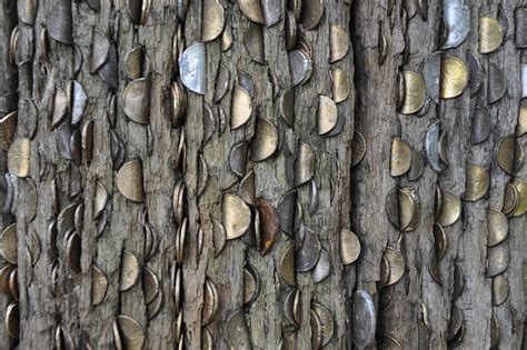 Tree Coins Coin Free Photo On Pixabay Pixabay
