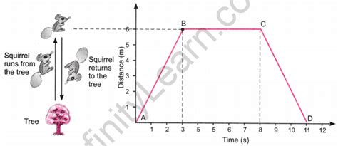 Extra Questions Class 9 Science Chapter 8 Motion
