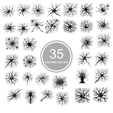 Neurons Svg Bundle 35 Synapses Designs Png Psd Etsy Uk
