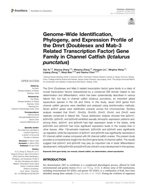 Pdf Genome Wide Identification Phylogeny And Expression Profile Of The Dmrt Doublesex And