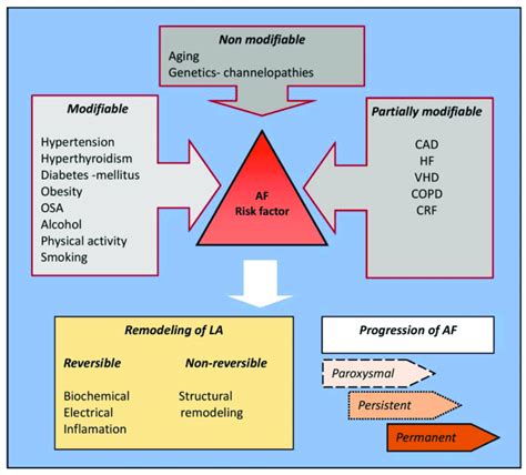 Cardiovascular Risk Factors For The Development Of Af 1 Legend