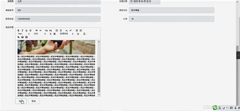 Java计算机毕业设计乡村振兴的数字化管理平台（开题报告源码论文）基于java乡土文化振兴平台 Csdn博客