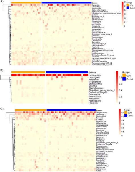 Heatmap Of Genera Abundance Of Intestinal Microbiome A Vaginal Download Scientific Diagram