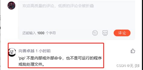 已解决‘pip‘ 不是内部或外部命令，也不是可运行的程序 或批处理文件。pip 不是内部或外部命令也不是可运行的程序 Csdn博客