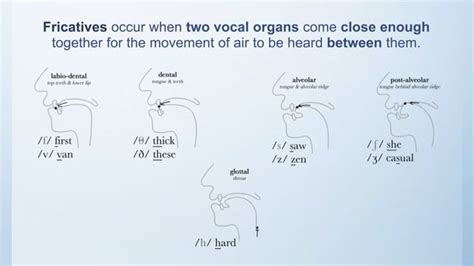 Fricative Consonants Pptx Dental Health Diseases And Conditions