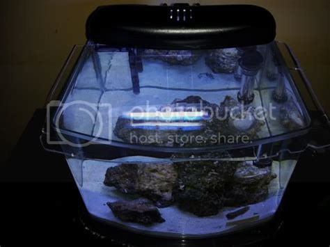 My Diy Fail Diy Projects Nano Reef Community