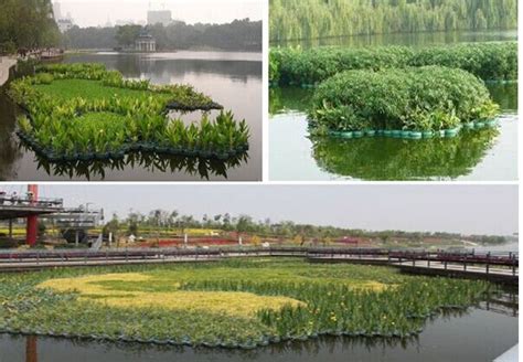 河南污水处理工程 河南人工湿地工程 河南中水回用工程 郑州同济环保工程有限公司 官网