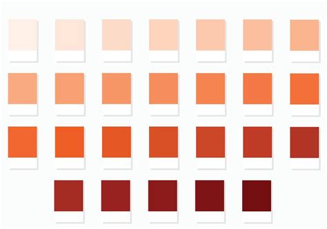 Peach Color Palette With Names And Hex Codes
