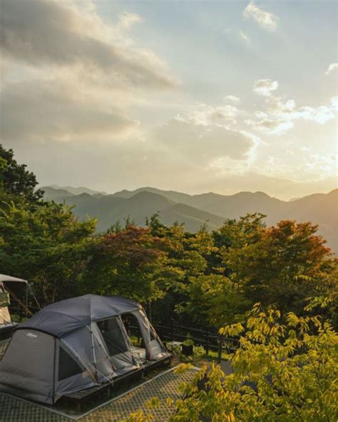 이벤트캠핑 🏕동강전망자연휴양림🏕 동강의 멋있는 전망과 즐기는 캠핑 강원도 정선군에 위치한 캠핑장으로