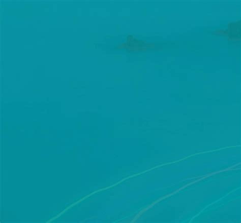 IGCSE O Level Global Perspectives Coursebook By Cambridge International Education Issuu