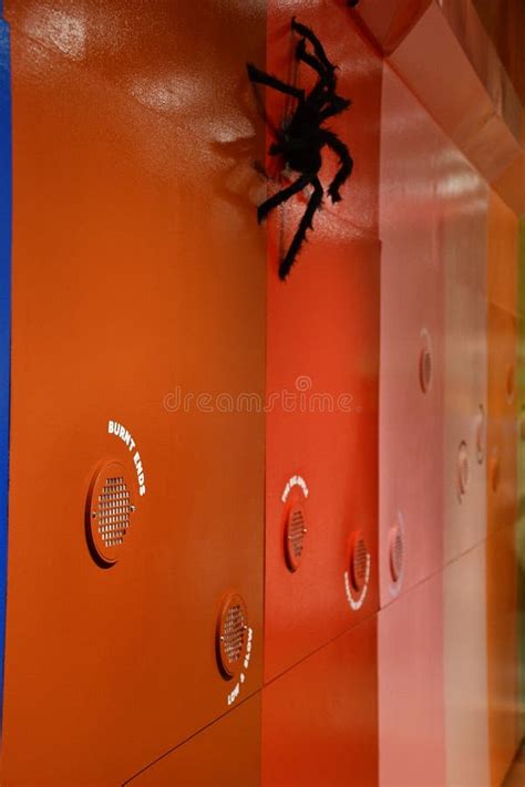 color factory nyc exhibition in new york city editorial image image
