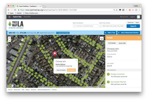 Tree Inventory Spreadsheet Db Excel Com