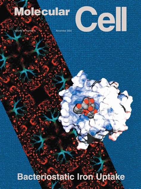 Issue Molecular Cell