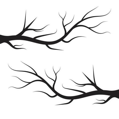 Branch Of Tree Drawing