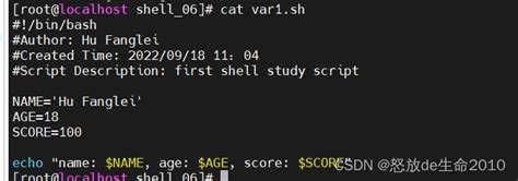 shell脚本入门到实战 三 变量 阿里云开发者社区