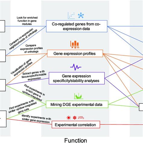 Data Mining Workflows Using The Different Onboard Functionstools Of