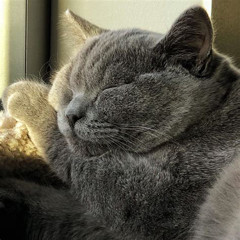 James Is A Soft Boi Scrolller