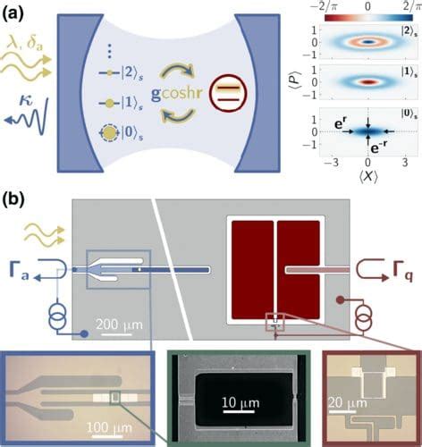 Antisqueezing Amplifies Qubit Photon Interactions Paving Way For Quantum Tech Advancements