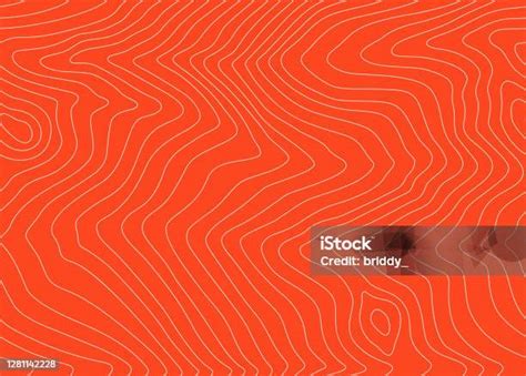 연어 생선 필렛 질감과 추상적 인 매끄러운 패턴 생선 포장 스시 레스토랑 및 메뉴 디자인을위한 벡터 배경 연어 해산물에 대한