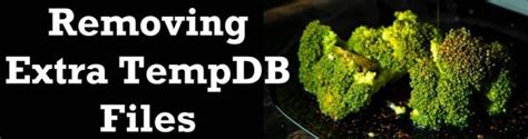 Sql Server Removing Extra Tempdb Files Sql Authority With Pinal Dave