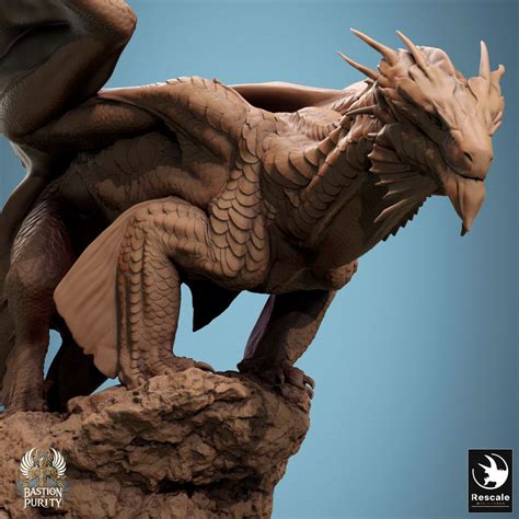 Dnd Bronze Dragon 2024