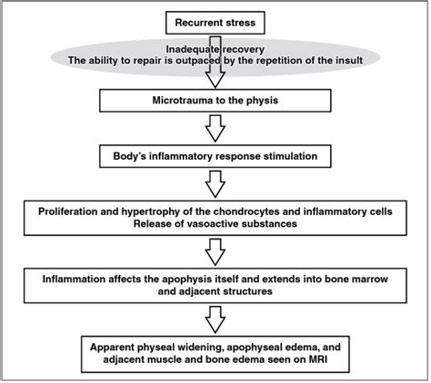 Review On Hip Apophysitis Sports Medicine Review