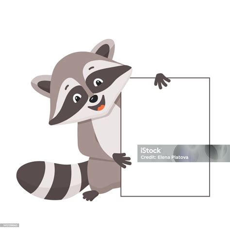 재미 귀여운 만화 너구리 빈 배너를 들고 흰색에 고립 된 작은 너구리 캐릭터의 벡터 일러스트 레이 션 너구리 너구리과에 대한 스톡 벡터 아트 및 기타 이미지 Istock