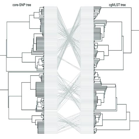 Tanglegram Comparison Between Core Genome Snp Left And Cgmlst