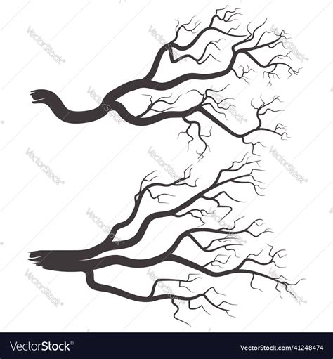Tree Branch Silhouette Collection Royalty Free Vector Image