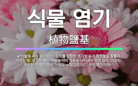 🌟식물 염기 식물체 속에 들어 있는 질소를 포함한 염기성 유기 화합물을 통틀어 이르는 말 중요한 생리 표준국어대사전